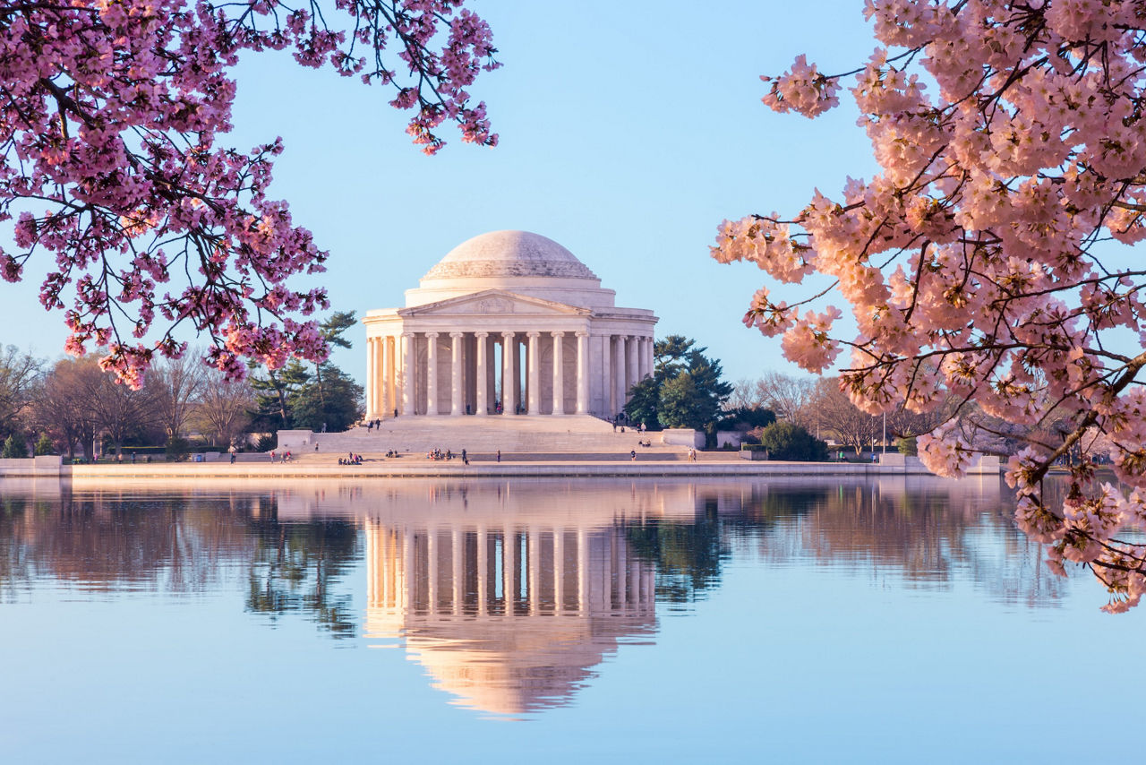 Digital employee experience for the Federal Government | TeamViewer DEX